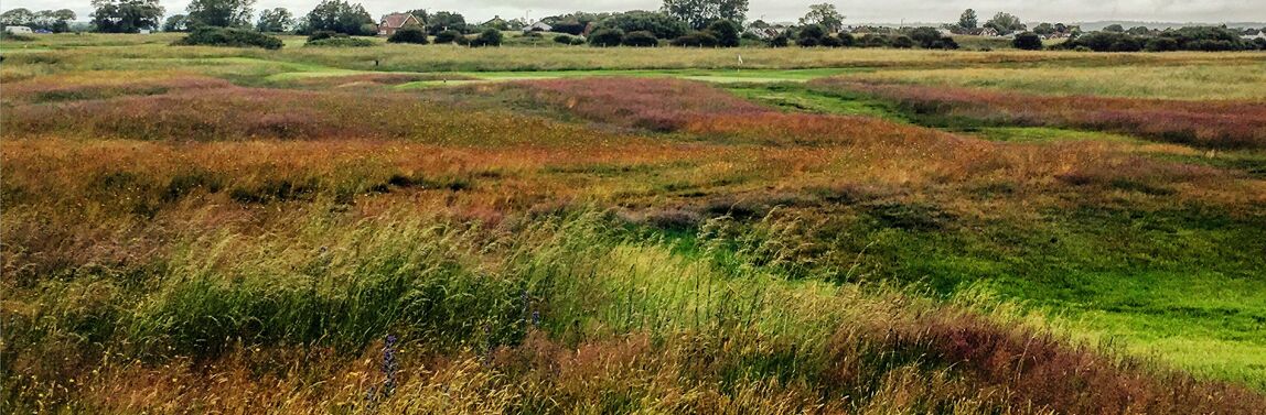 Home :: Littlestone is a unique and atmospheric Championship Links ...